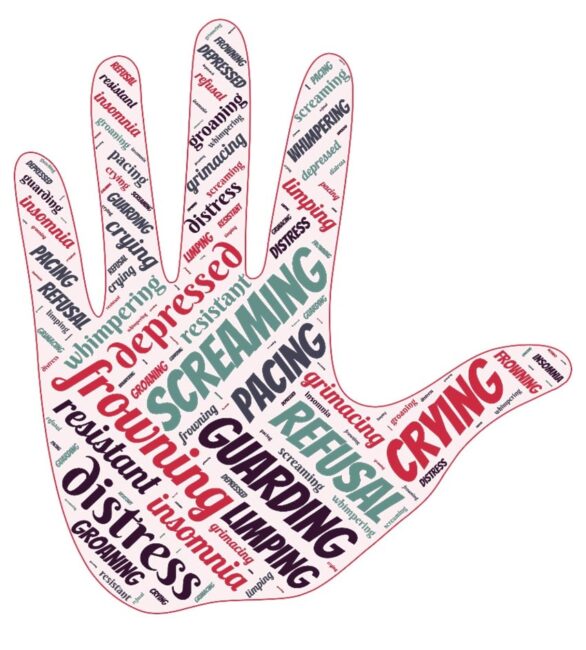 Ftag of the Week – F697 Pain Management (Pt. 2) | CMS Compliance Group